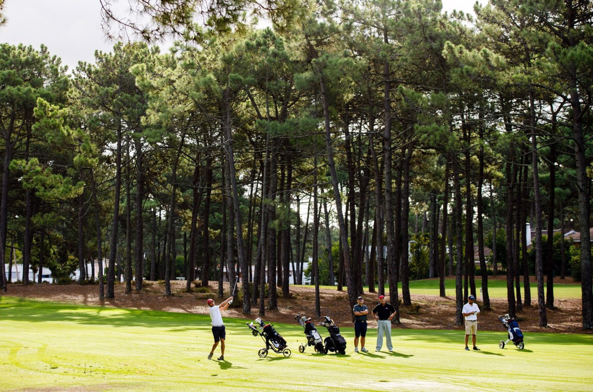 V ALF Golf Day - ALF - Associação Portuguesa de Leasing, Factoring e ...