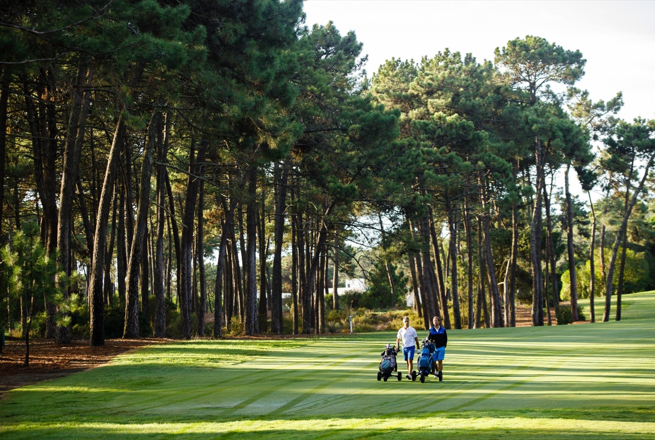 V ALF Golf Day - ALF - Associação Portuguesa de Leasing, Factoring e ...